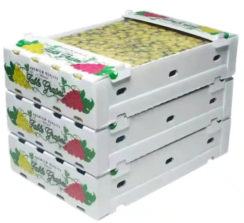 Grape box | Flexcontainer.com